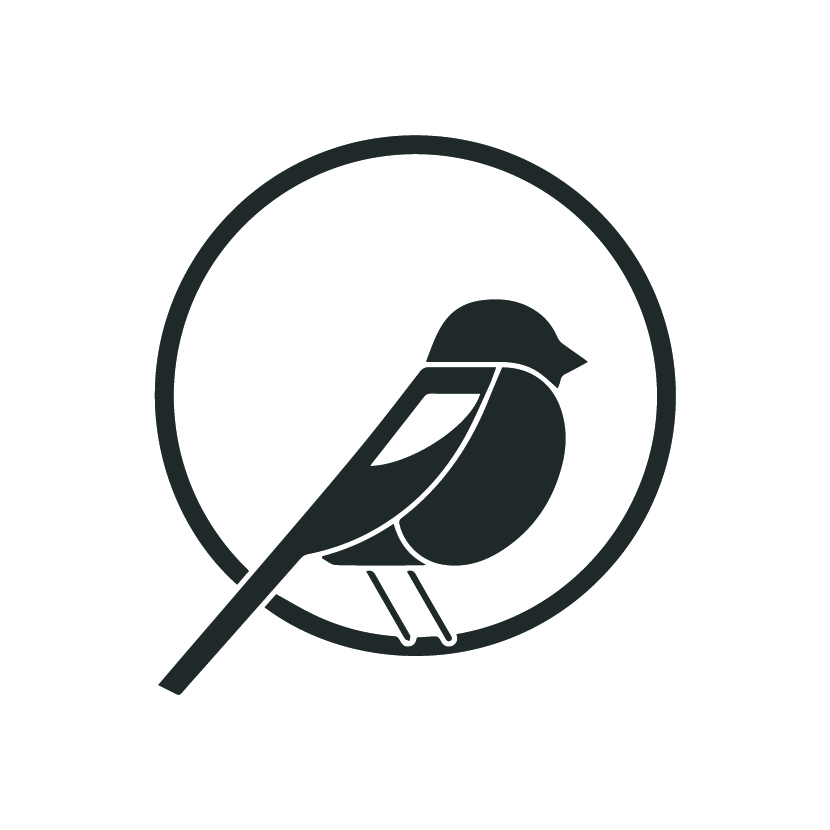 20 Questions with The Early Bird Bakery - NCASS